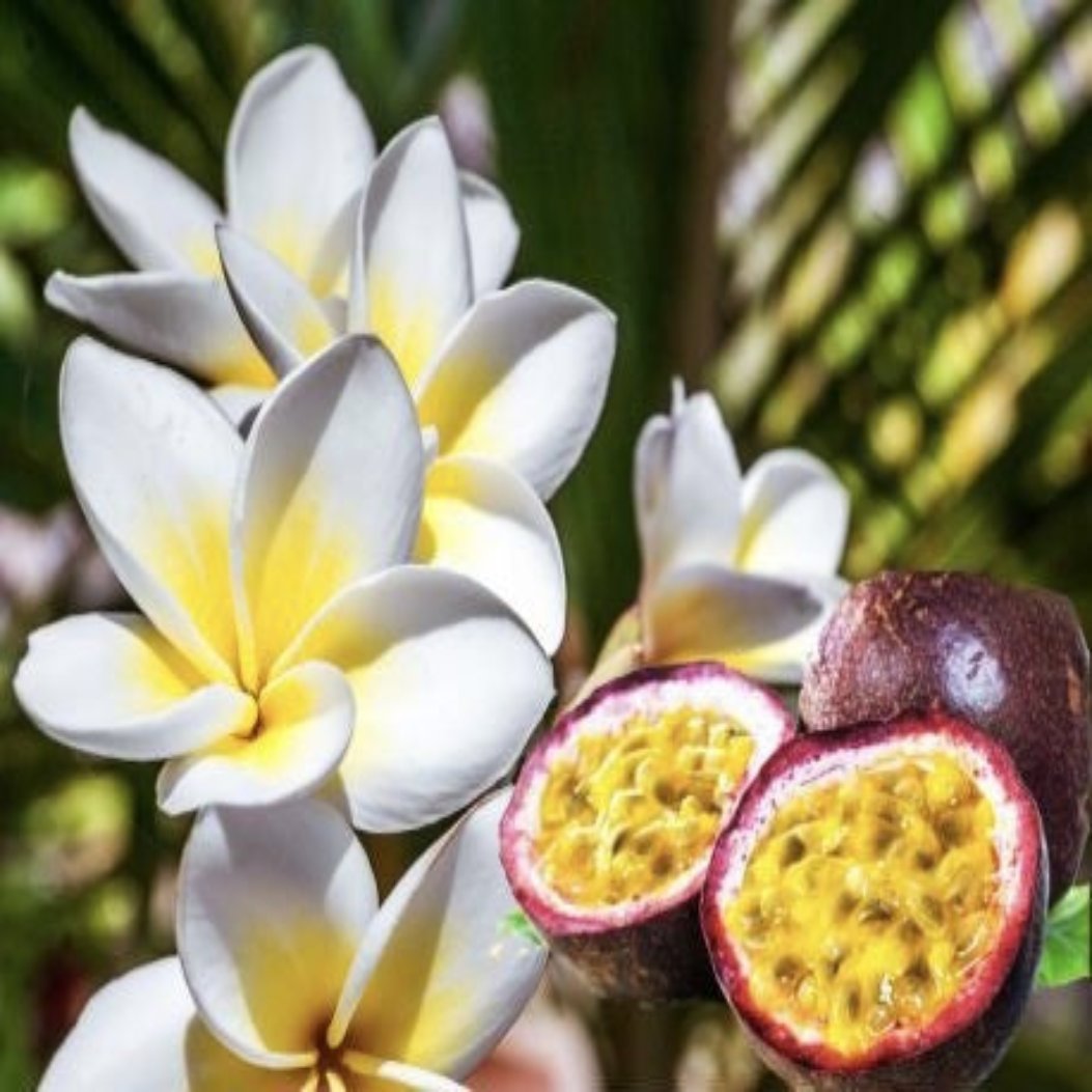 Fragrance Monoi Passion – Fragrance et matériel Bougie et Fondant